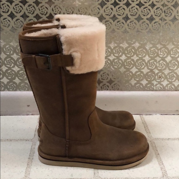 UGG | Shoes | Nwot Chestnut Ugg Boots | Poshmark